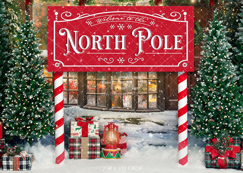 Christmas North Pole Santa's Workshop Backdrop for Photos