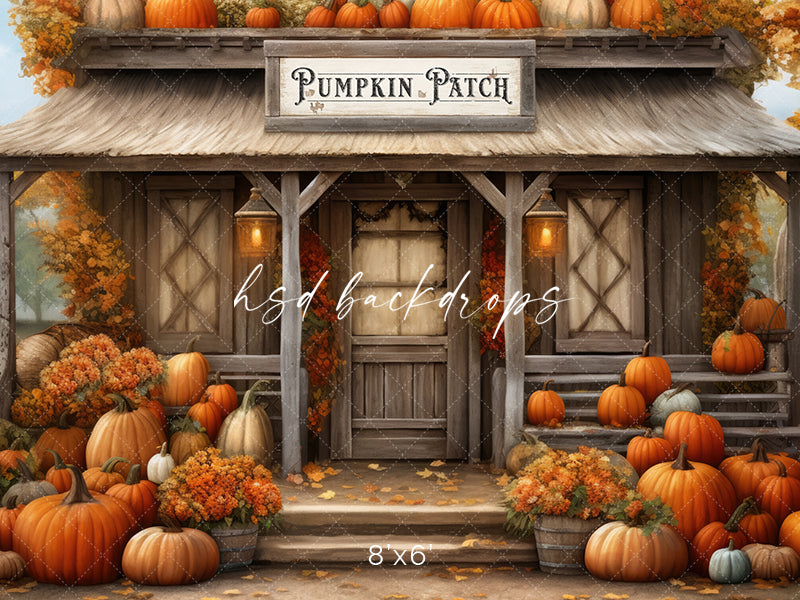 Pumpkin Patch Autumn Harvest Photography Backdrop for Pictures