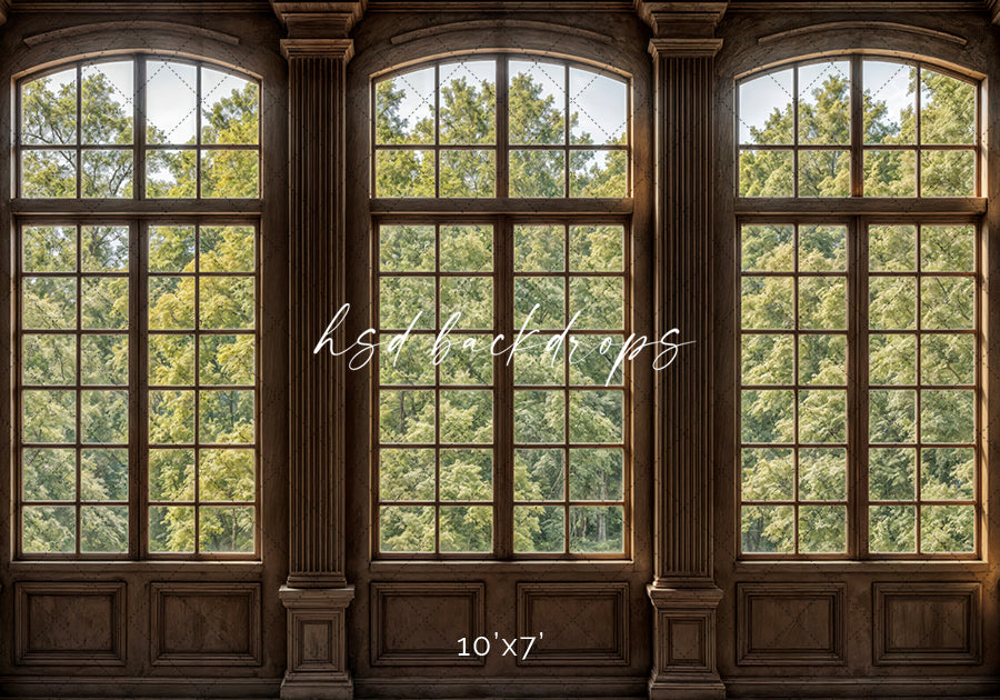 Elegant office windows business branding backdrops for photography ...