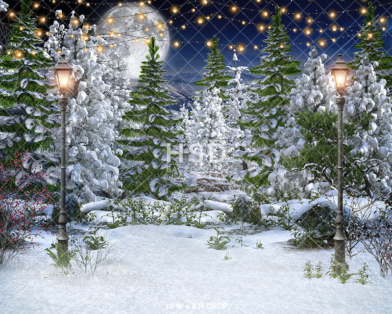 Winter Forest Backdrop with Trees for Winter Wonderland Photos