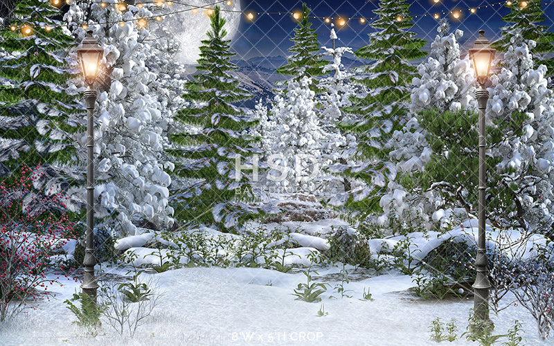 Winter Forest Backdrop with Trees for Winter Wonderland Photos