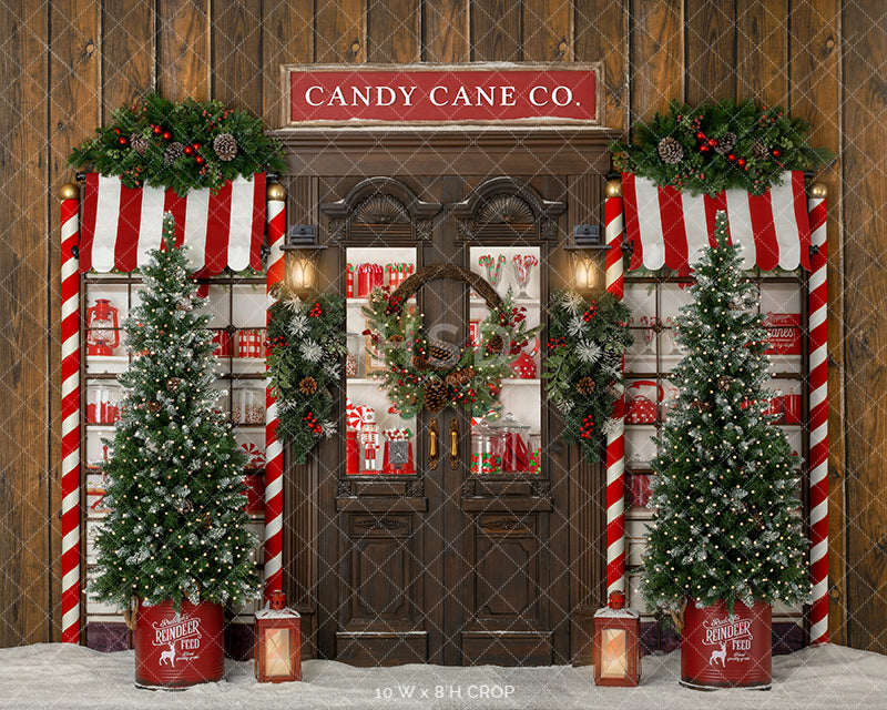 Christmas Candy Shop Photo Backdrop for photoshoot