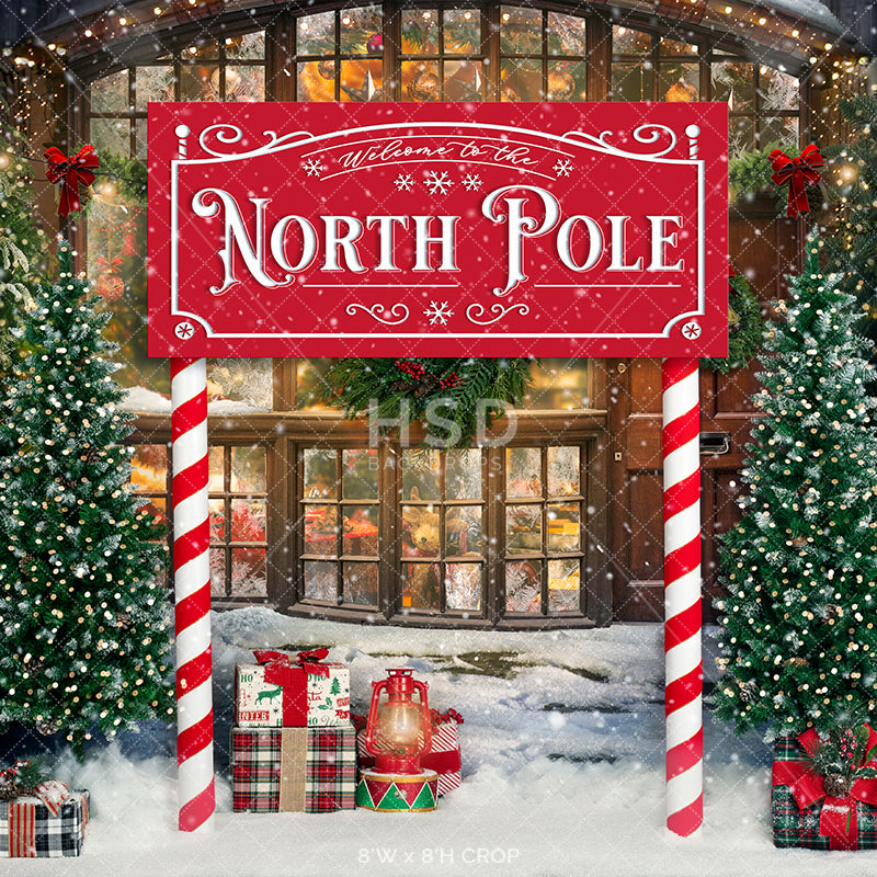 Christmas North Pole Santa's Workshop Backdrop for Photos – HSD ...