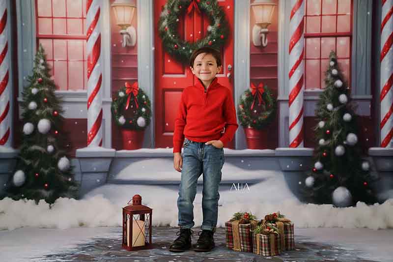 Snowy Cathedral Window Christmas Backdrops For Photography Hsd