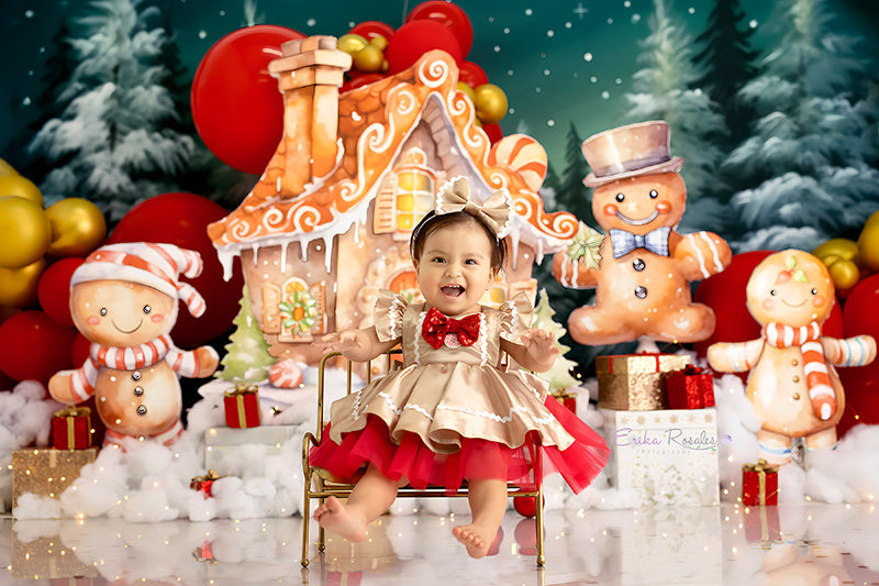 Christmas Gingerbread House Backdrop for Cake Smash Birthday Photos