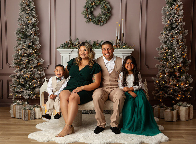 Christmas Fireside family photoshoot backdrop
