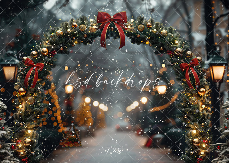 Christmas Sidewalk Stroll Photography Backdrop for Pictures – HSD ...