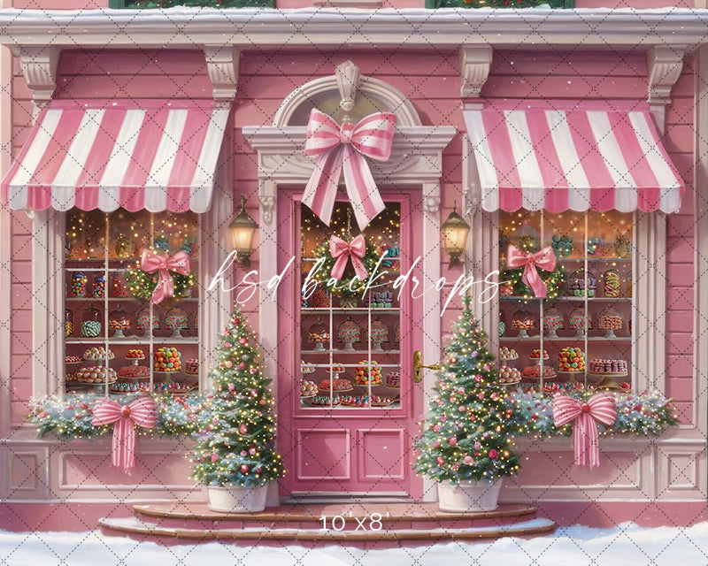 Pink Christmas Boutique Gift Shop Photo Backdrop