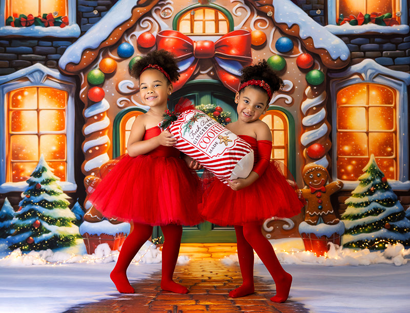 Frosted Gingerbread House Christmas Portrait Backdrop