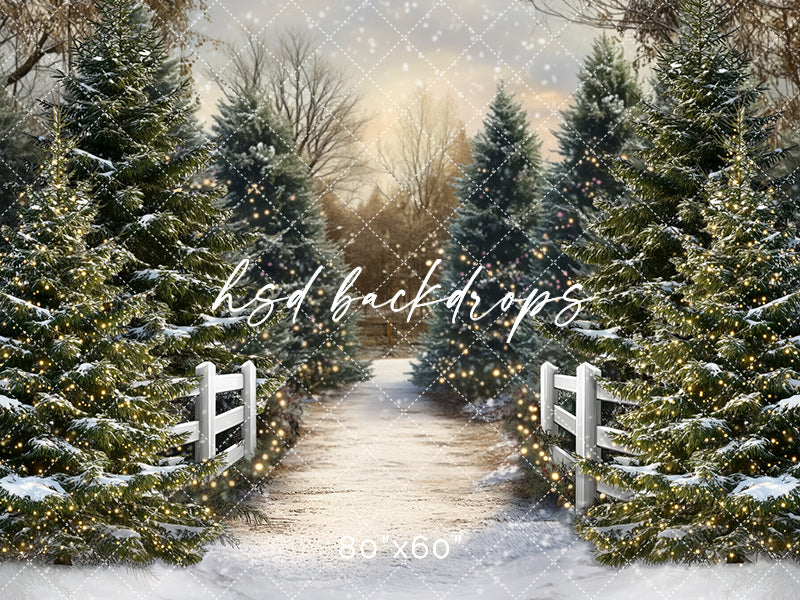 Snowy Winter Trees Pathway Photography Backdrop and Scene Setter – HSD ...