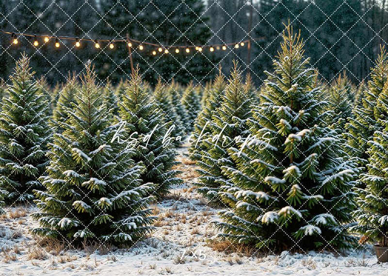 Winter Photography Backdrop of Snowy Pines Christmas Tree Farm – HSD ...