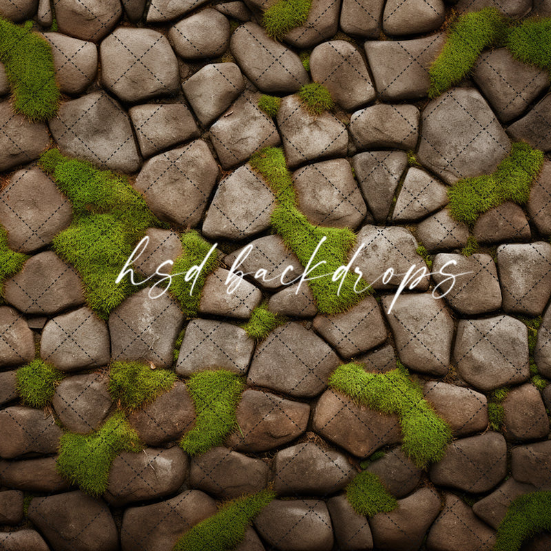 Mossy Stone Floor photography backdrop floor