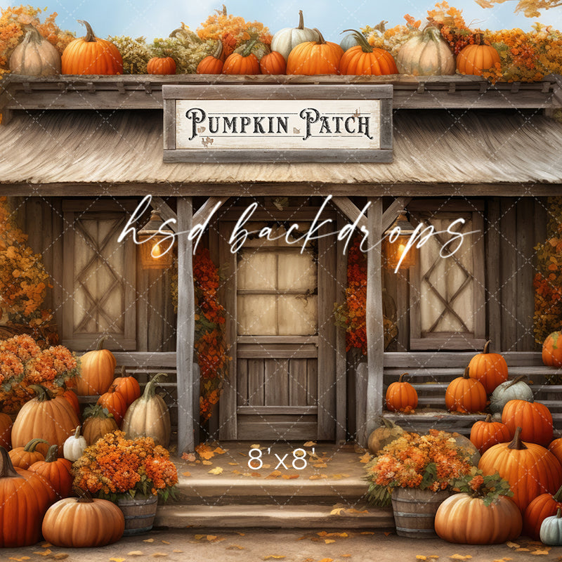 Pumpkin Patch Autumn Harvest Photography Backdrop for Pictures