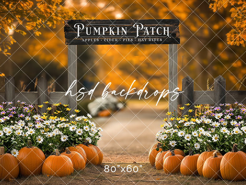 Fall Backdrops | Autumn Backdrops | HSD Backdrops – HSD Photography ...