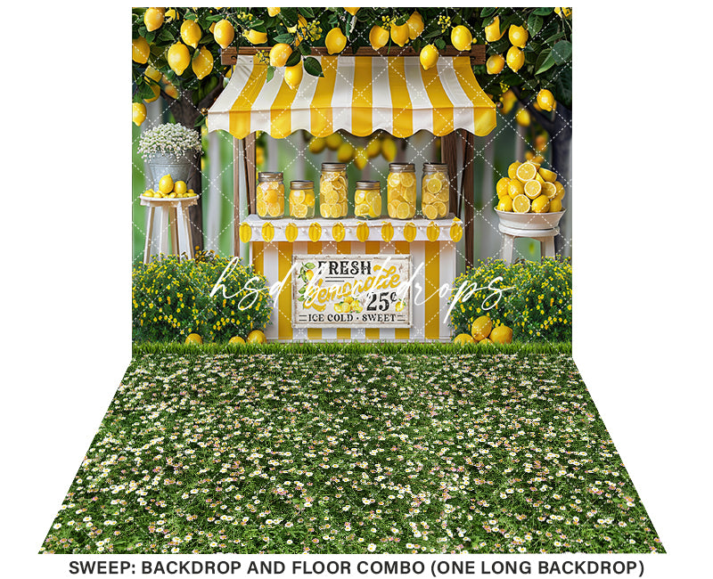 Lemonade Stand Backdrop For Summer Photoshoot