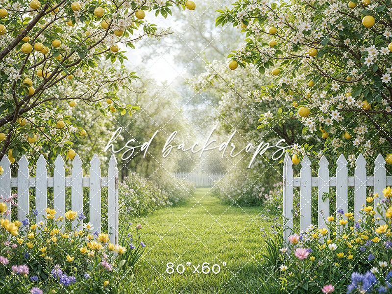 Lemon Trees Summer Theme Photography Backdrop – HSD Photography Backdrops