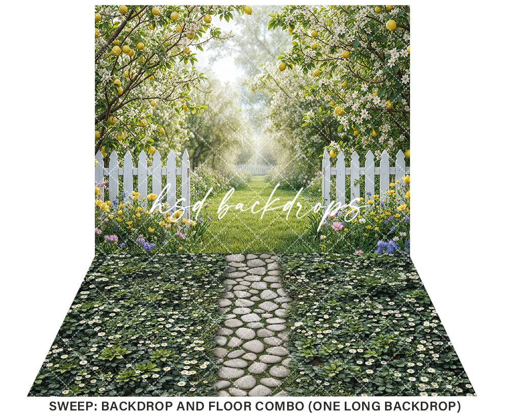 Lemon Trees Summer Theme Photography Backdrop – HSD Photography Backdrops