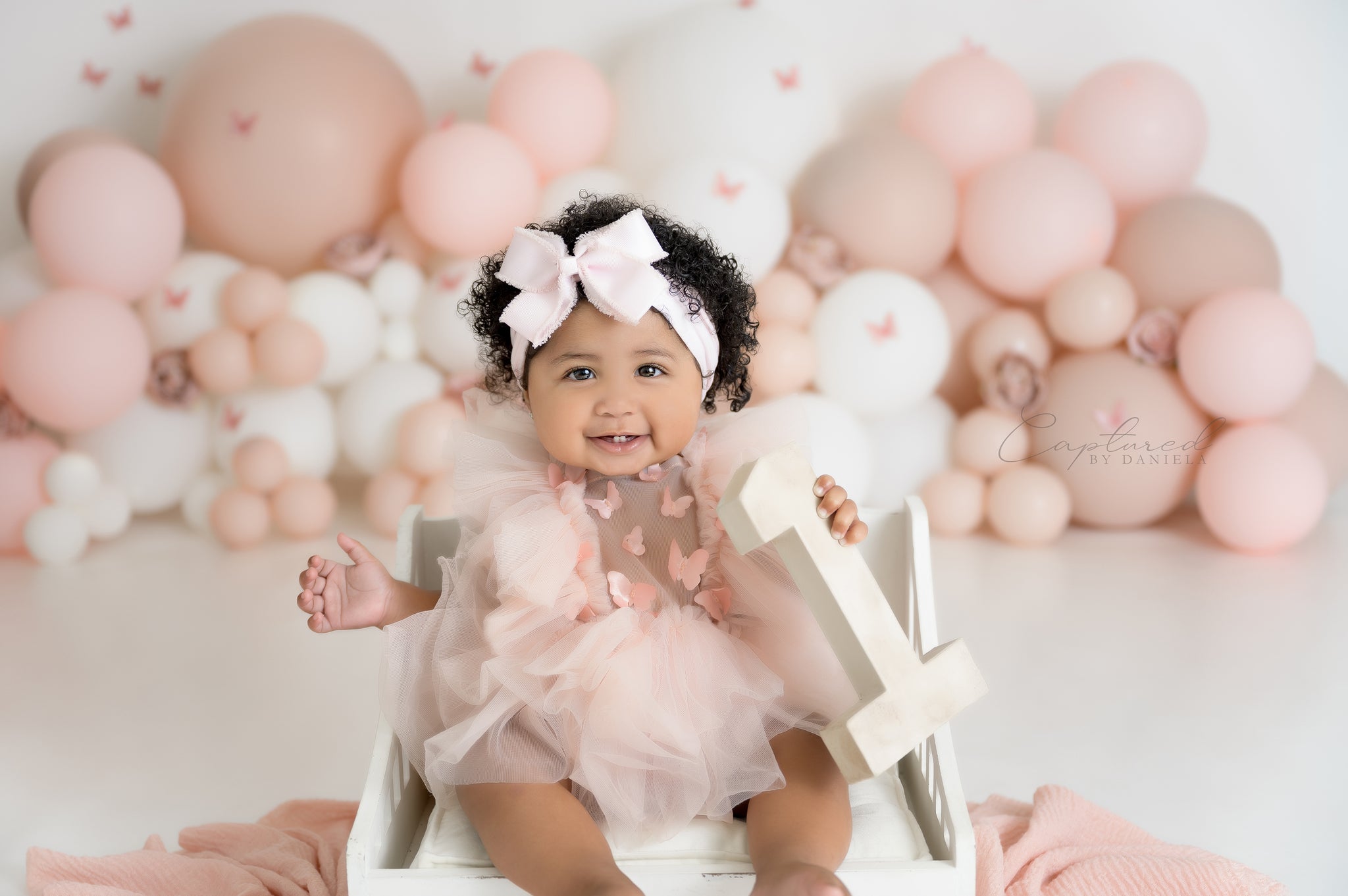 Butterfly Theme Cake Smash Photo Backdrop for Girls