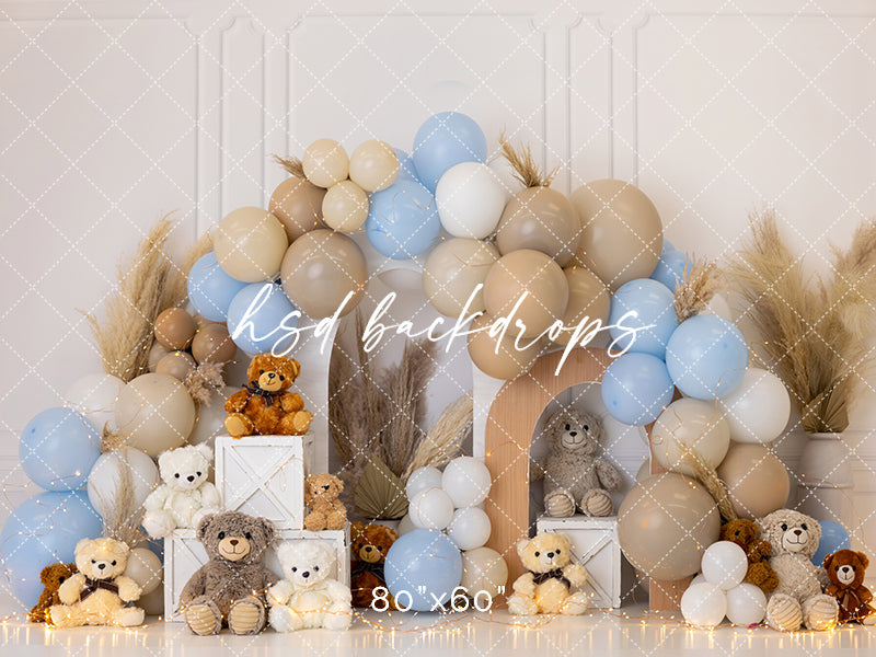 Teddy Bear Balloon Cake Smash Backdrop for Pictures – HSD Photography ...