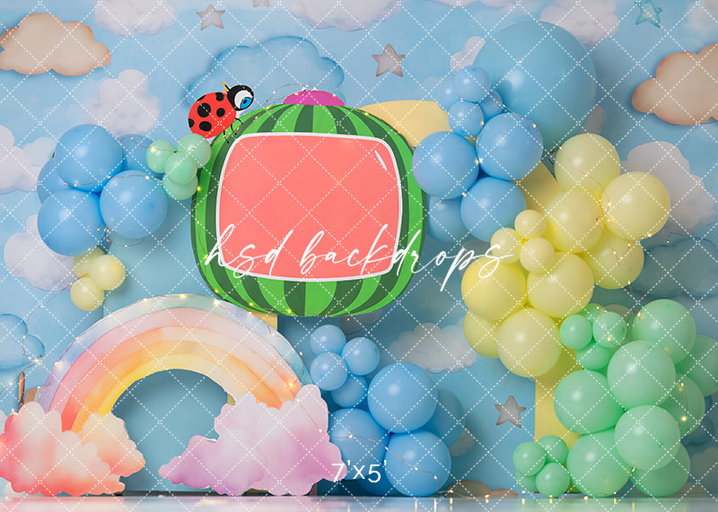 Cake Smash Photography Backdrops - Poly paper and fabric – HSD ...