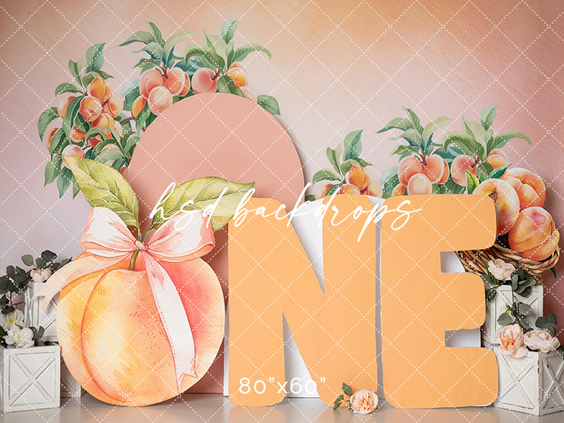 One Sweet Peach 1st Birthday Cake Smash Backdrop for Photography – HSD ...