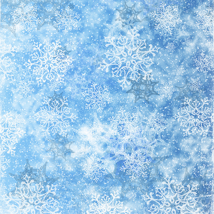 Frozen Photography Backdrop, Frozen Photography Background – HSD ...