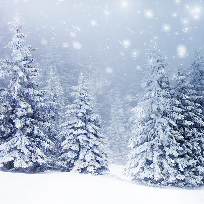 Winter Fir Trees Photography Backdrop, Christmas Photo Background