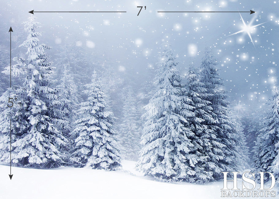 Winter Fir Trees Photography Backdrop, Christmas Photo Background