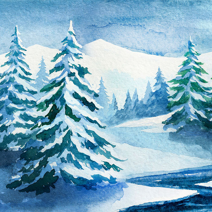 Painted Winter Scene Photography Backdrop Christmas Background CHS204 ...