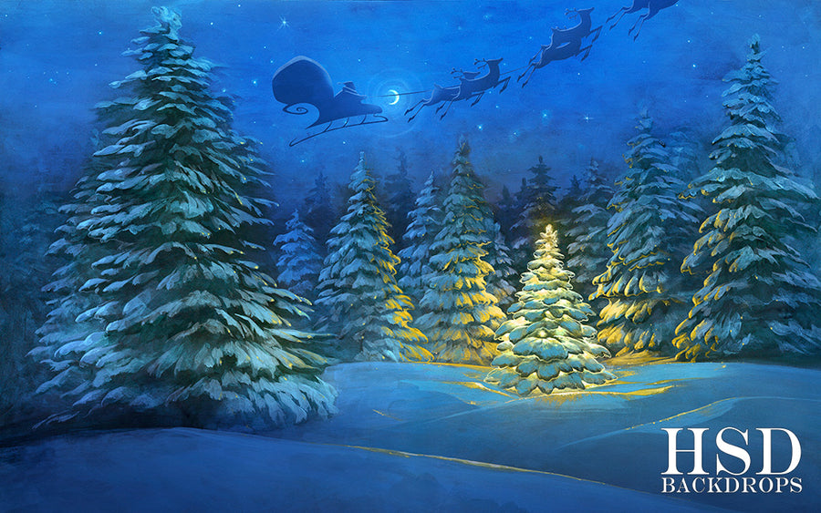 Christmas Night Photography Backdrops Christmas Photo Props – HSD ...