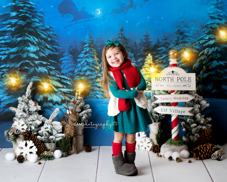 Christmas Night Photography Backdrops Christmas Photo Props