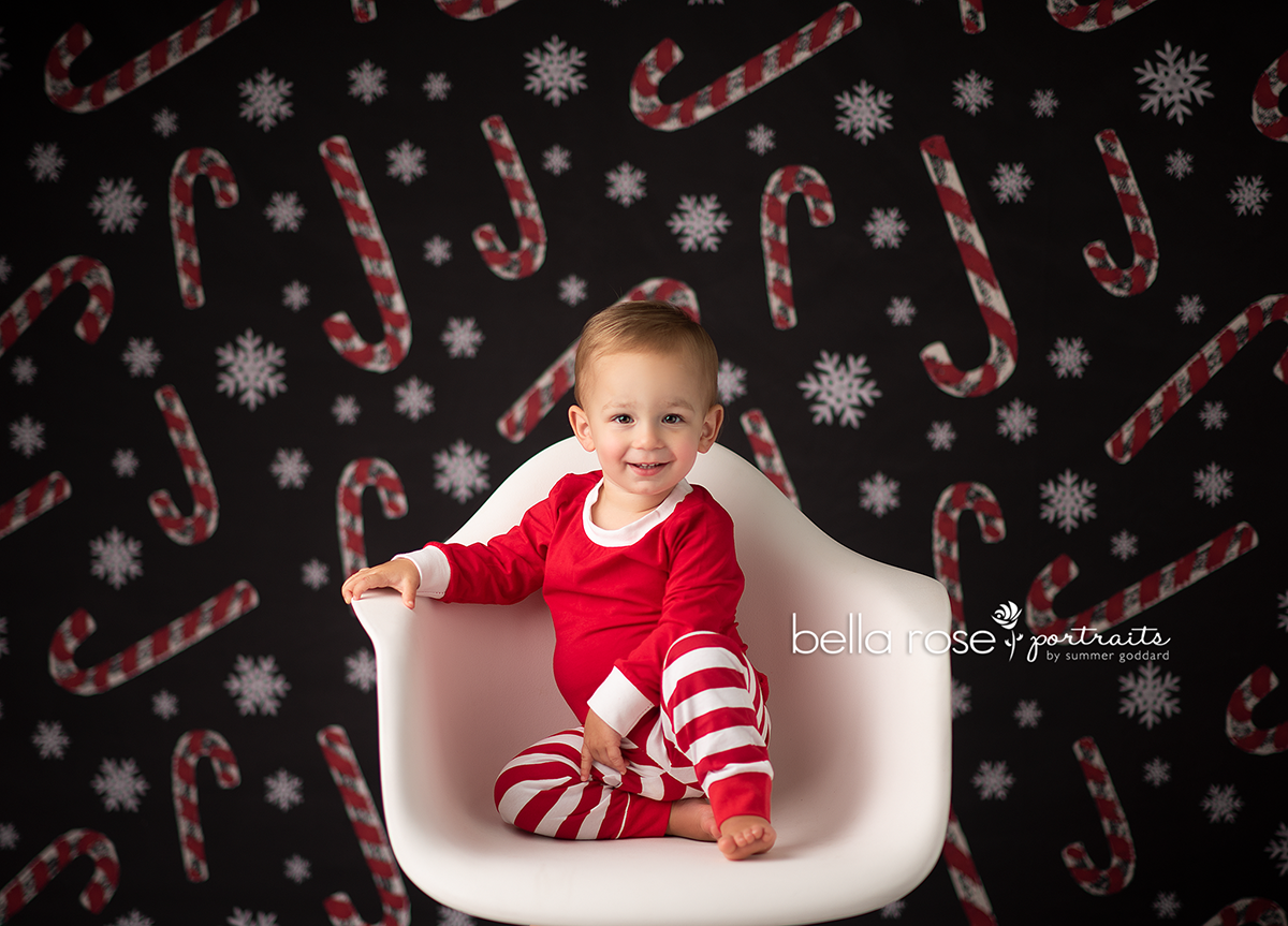 Christmas Photo Backdrop and Photography Props Candy Canes Background