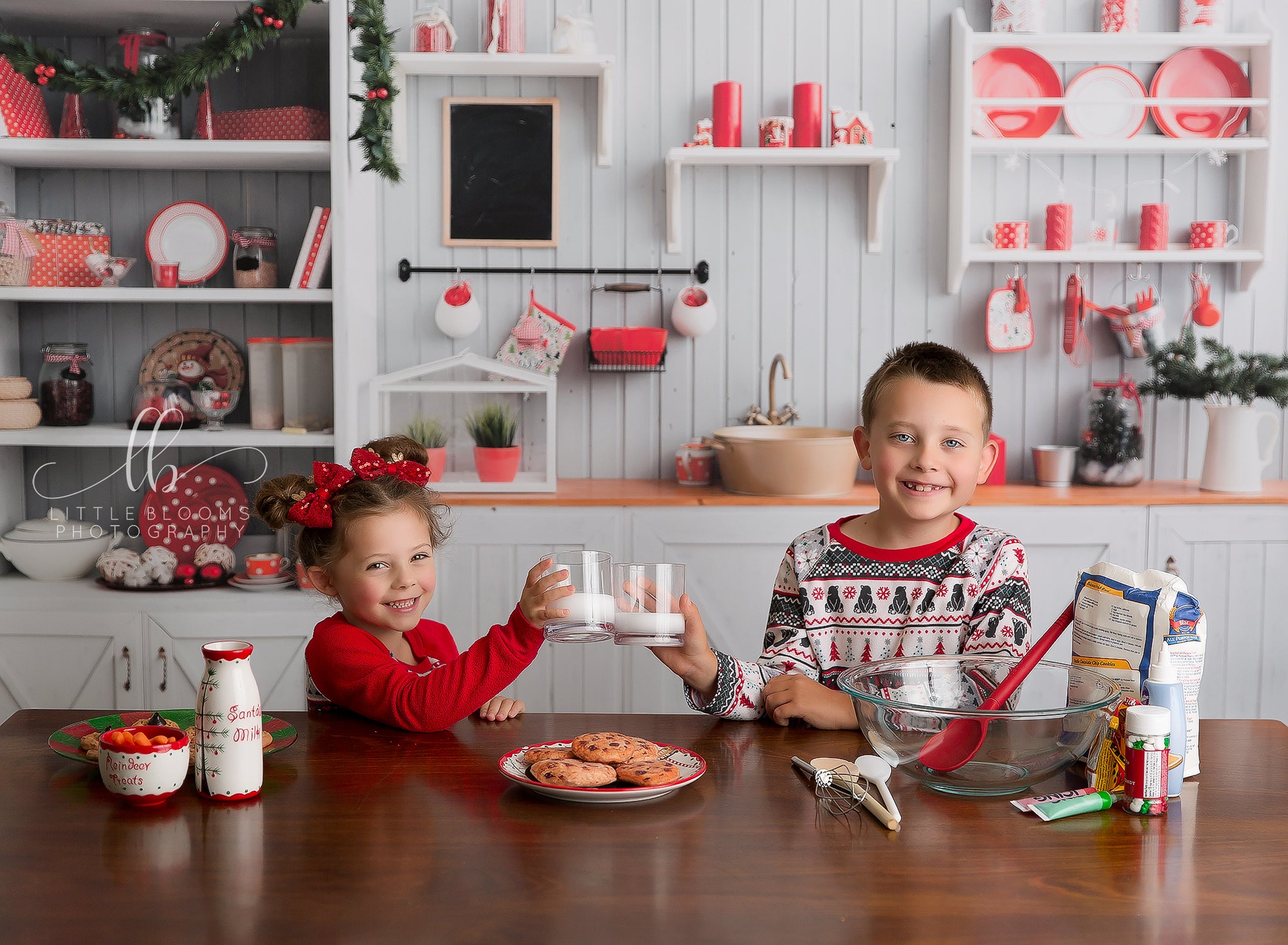 Baking Christmas Cookies in the Kitchen Christmas Mini Session Backdrop