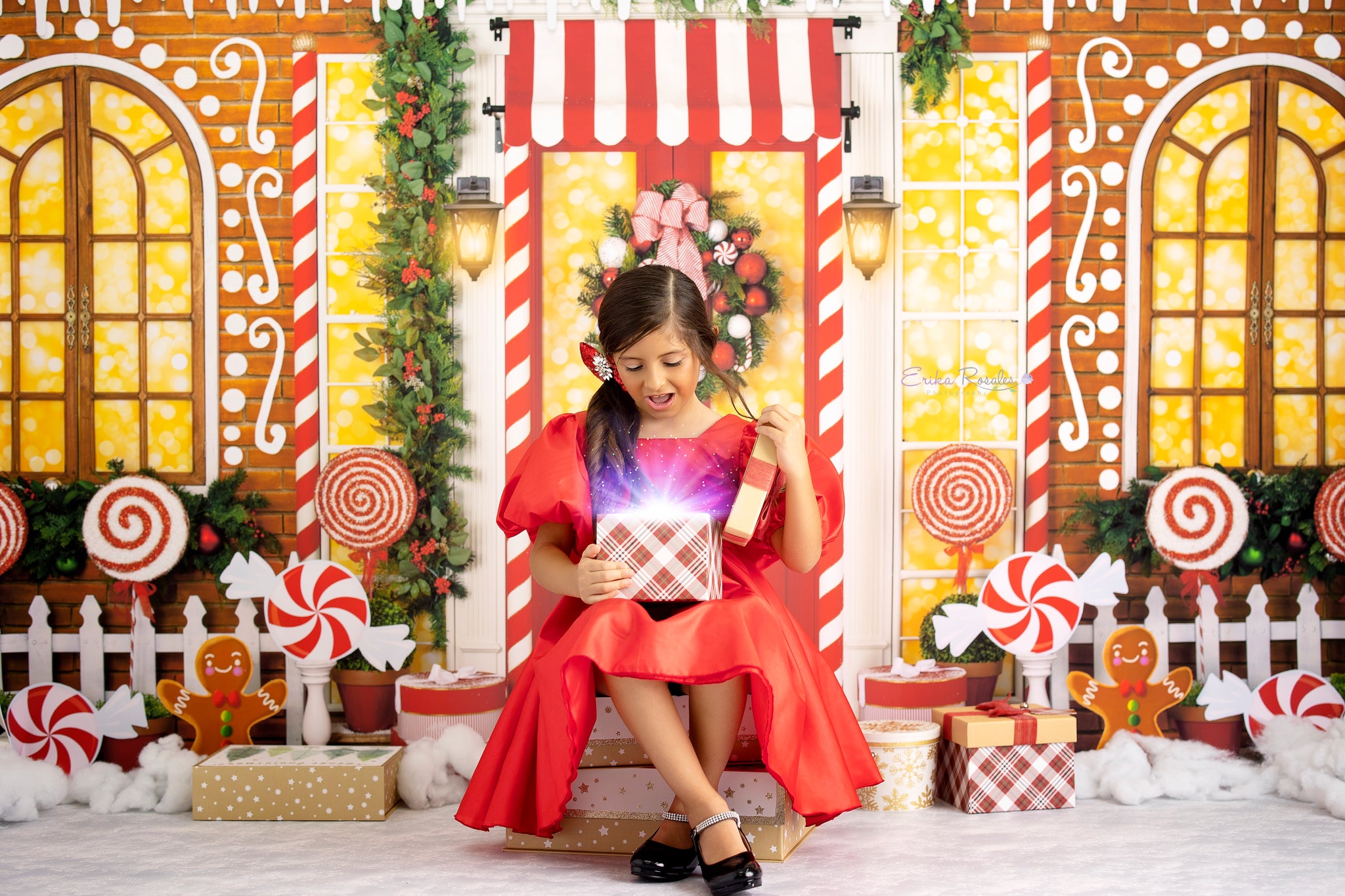 Gingerbread House Backdrop. Christmas Backdrops for Photography
