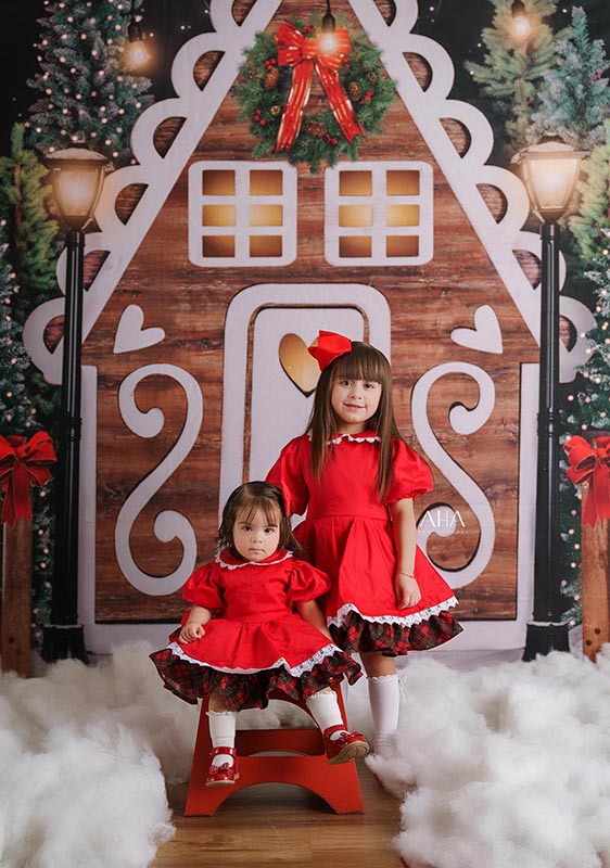 Gingerbread House Backdrop for Pictures. Christmas theme backdrop