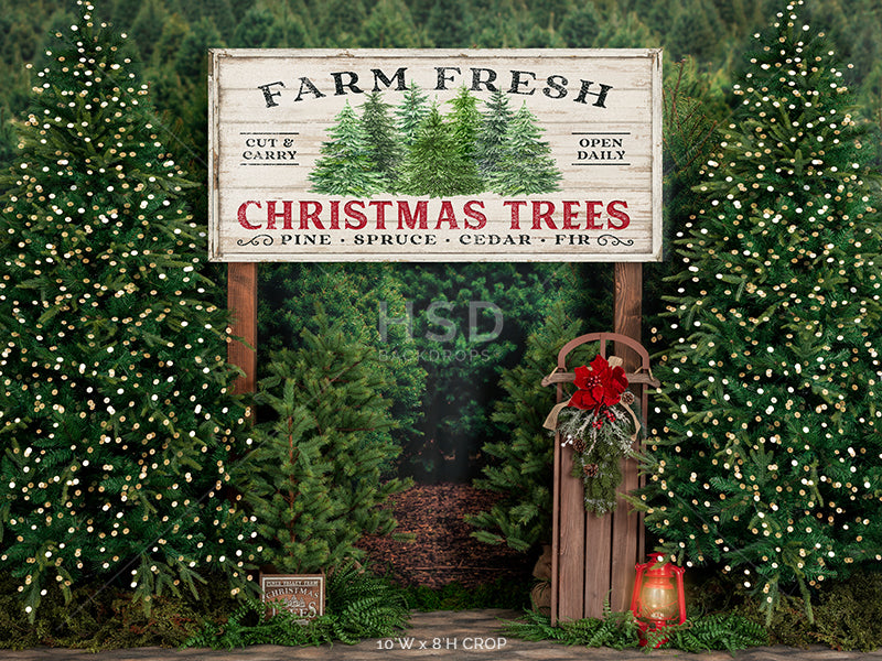 Rustic Christmas Tree Farm Photo Backdrop Photography