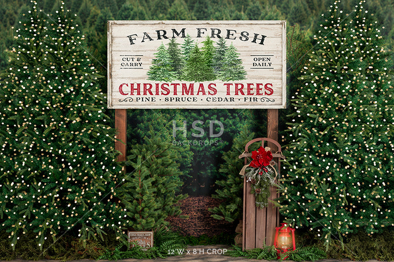 Rustic Christmas Tree Farm Photo Backdrop Photography