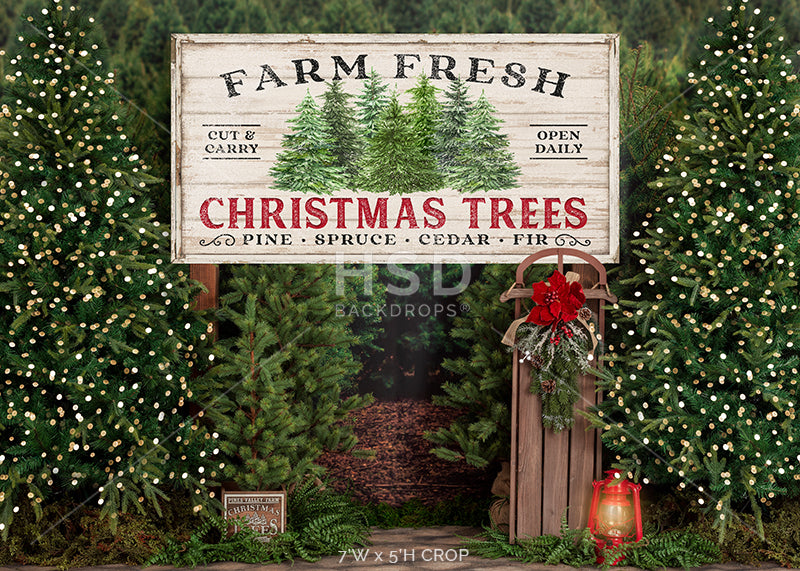 Rustic Christmas Tree Farm Photo Backdrop Photography