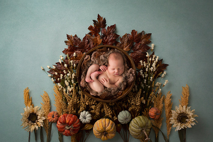 Fall Newborn Digital Backdrop | Autumn Days Coll. | Celebrate Autumn