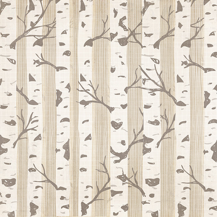 Birch Trees Photography Backdrop Vinyl Fall Photo Props Autumn