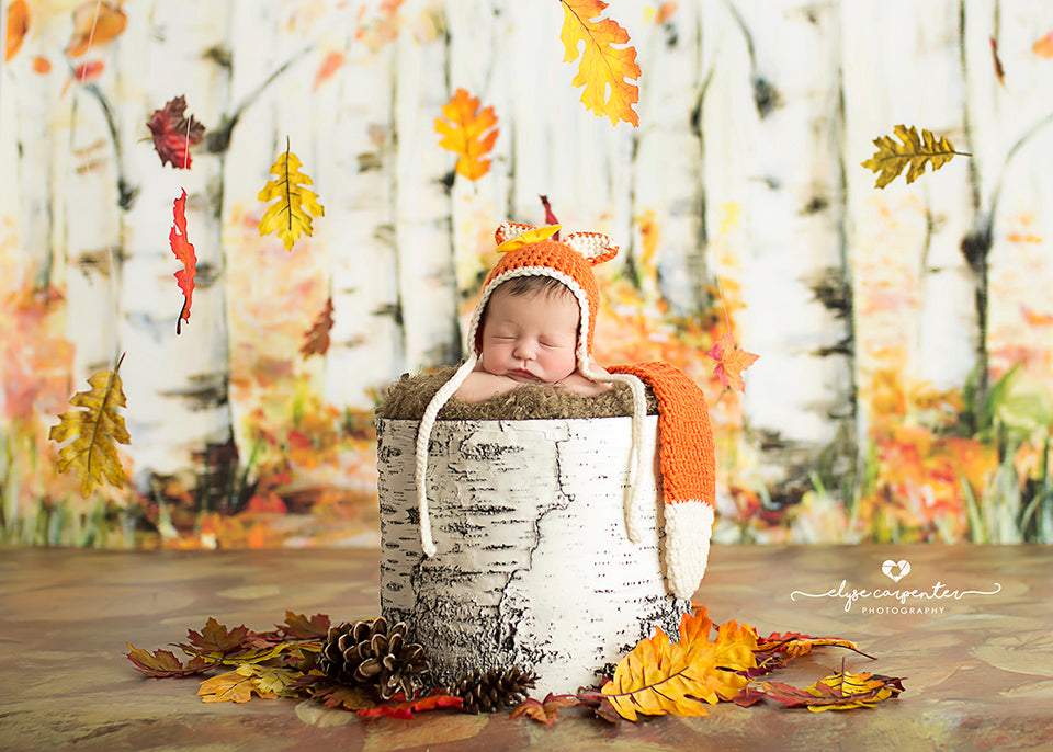 Fall Photography Backdrop Autumn Photography Background Birch Trees
