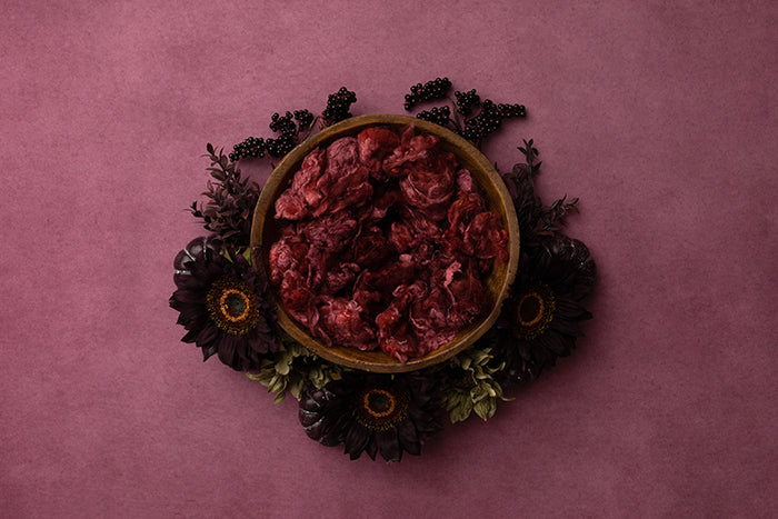 Fall Magic fall newborn baby digital backdrops autumn