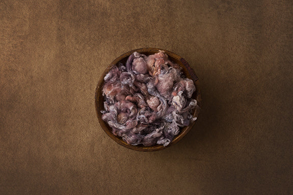 Secret Garden | Fern Coll. | Digital