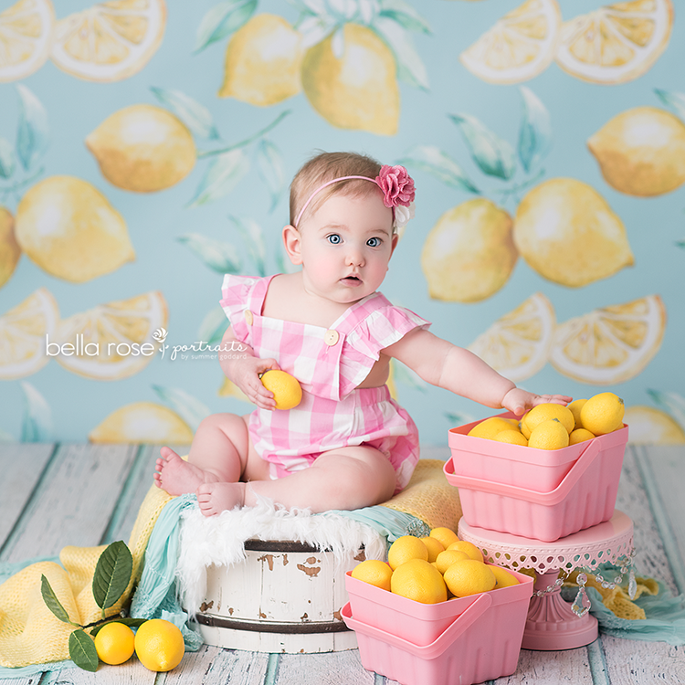 Summer Photography Backdrop Background Vinyl Lemonade Stand Props