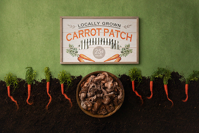 Spring Newborn digital backdrop and newborn composites