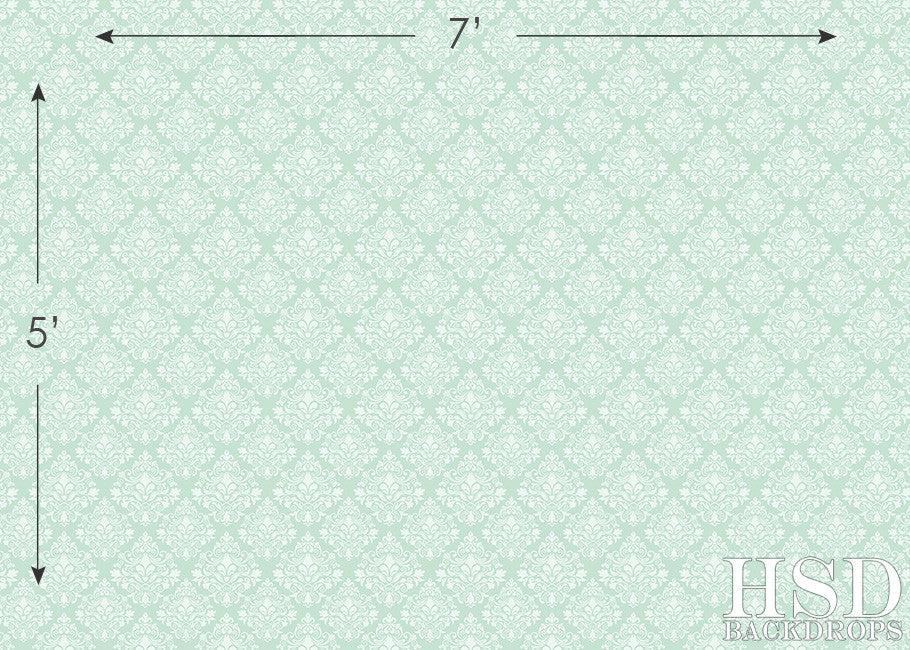 Photography Backdrop for Photographers Mint Damask Background