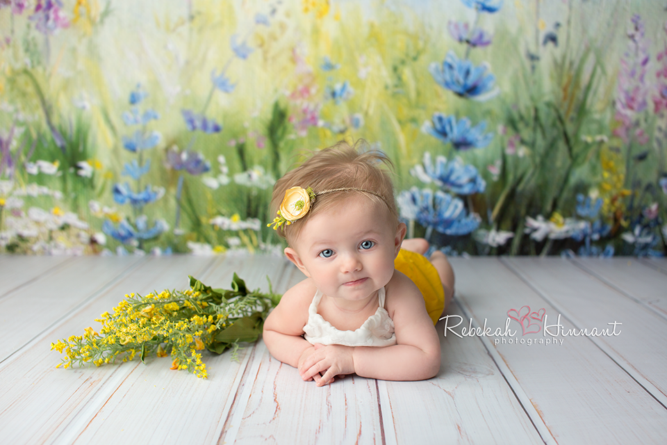 Spring Meadow Photography Backdrop Spring Photography Props SPG216