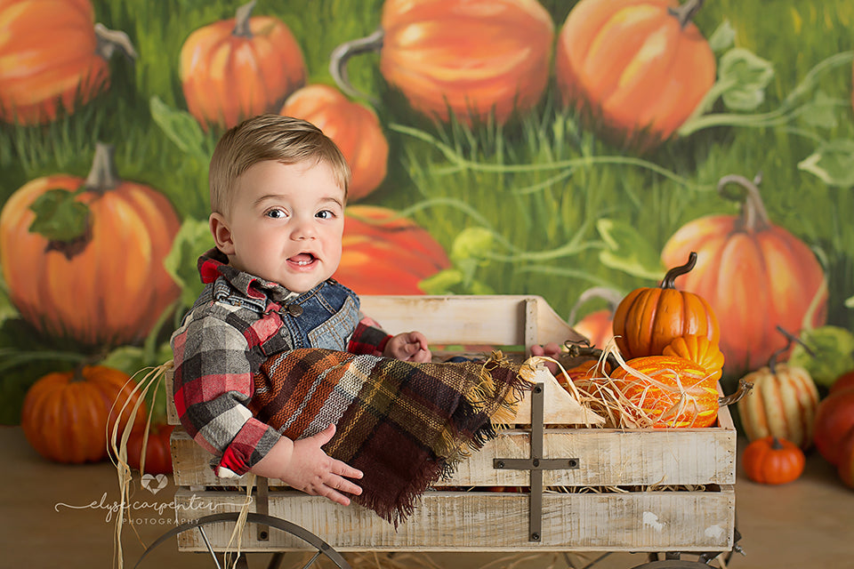 Pumpkin Patch Photography Backdrop Fall Photography Background Props