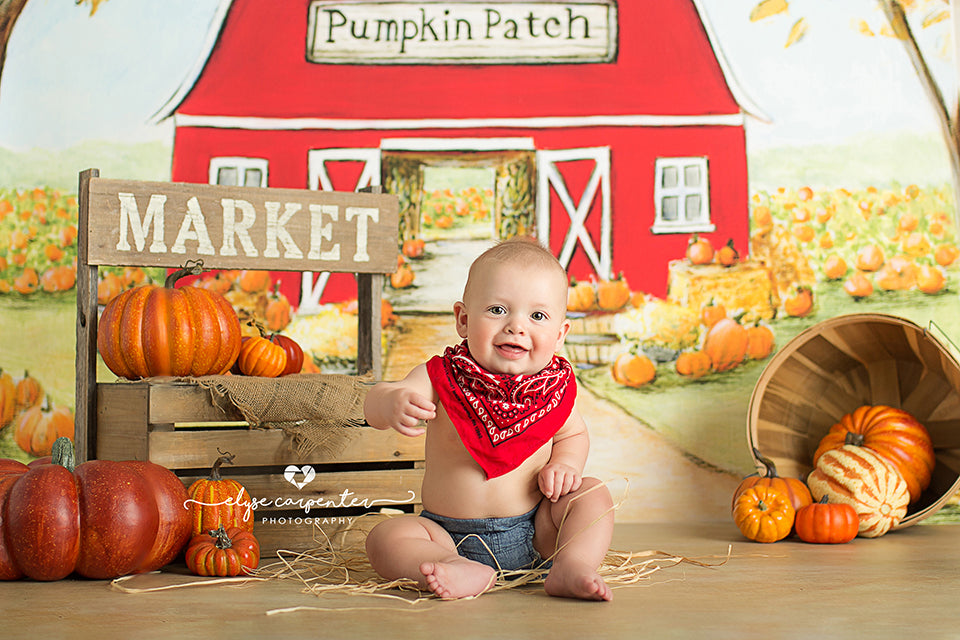 Red Barn Photo Backdrop for Baby and Kids Fall Photos – HSD Photography ...