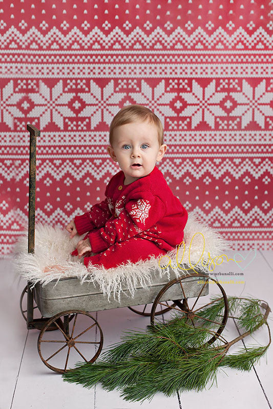 Christmas Pattern Photography Backdrop Christmas Photo Props Red White